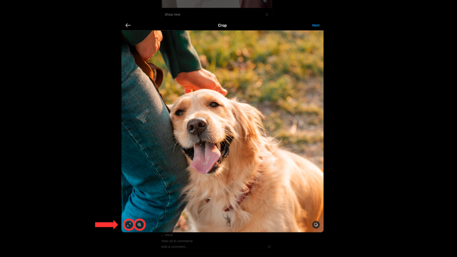 How to Post on Instagram from a Browser Window – A Guide